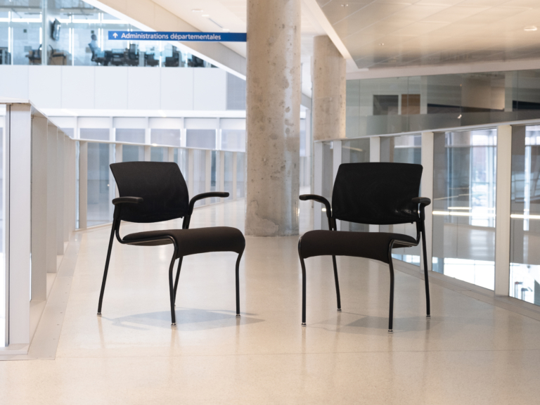 Cat | ADI Art Design International