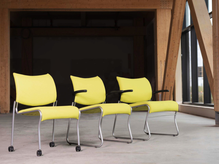 Cat | ADI Art Design International