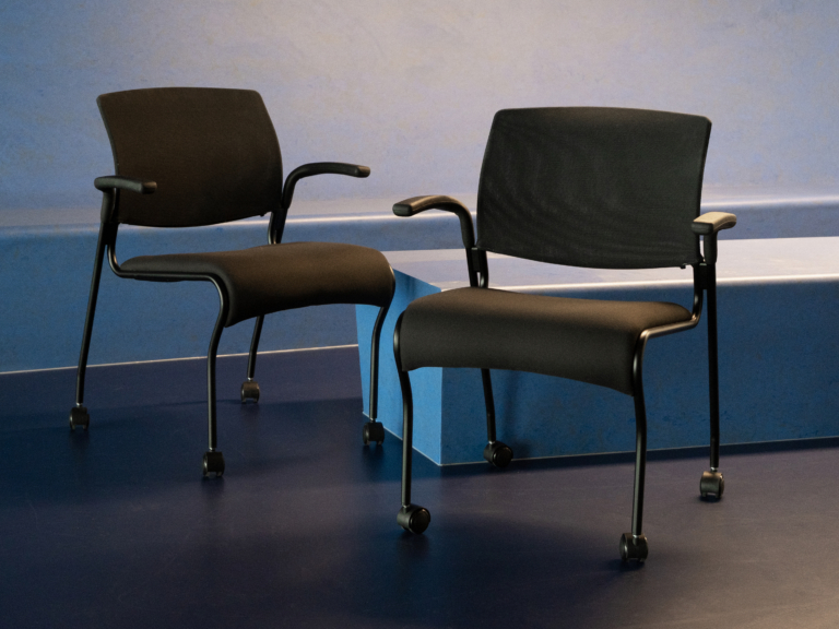 Cat | ADI Art Design International